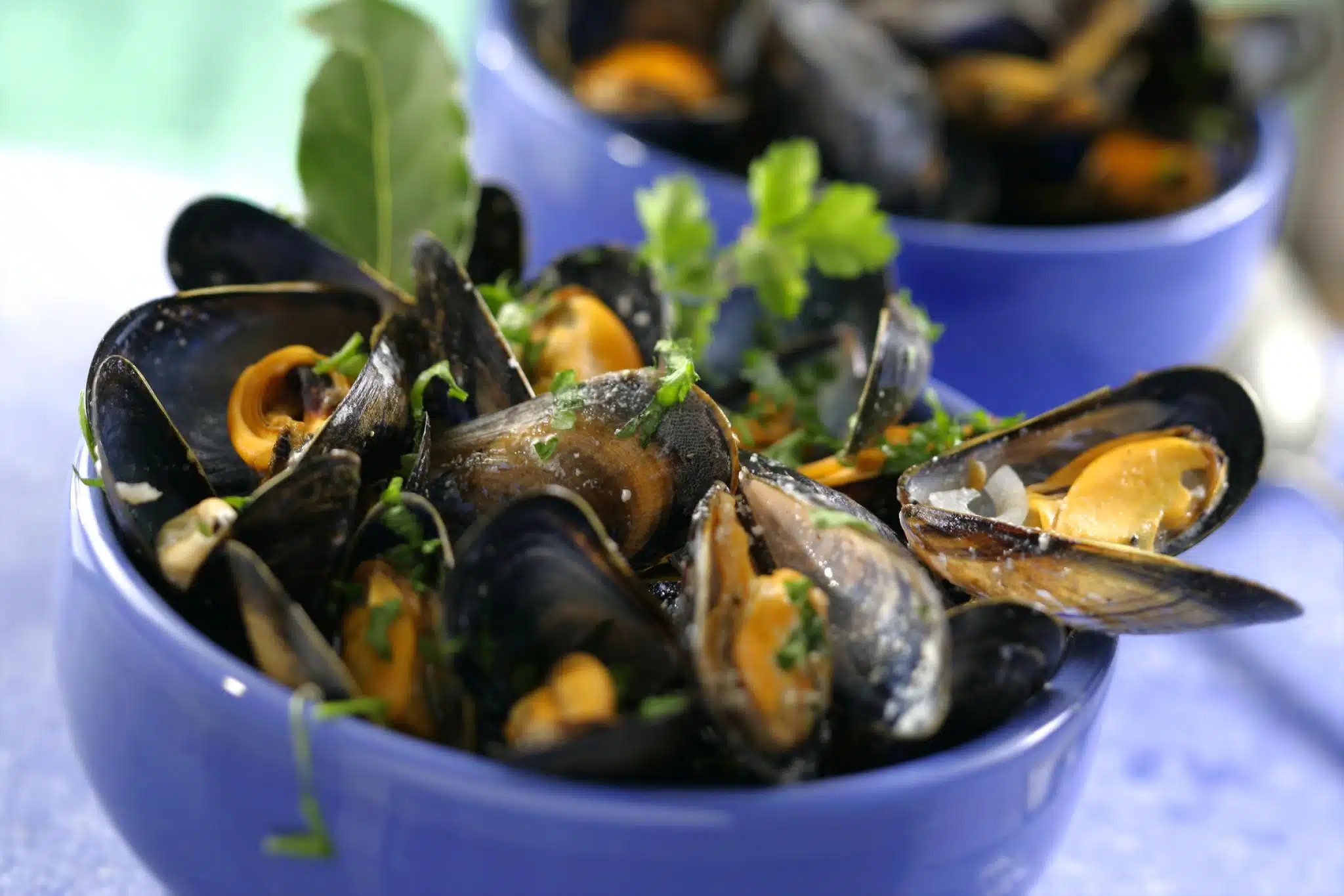 Moules marinières healthy - Recette Plat sain